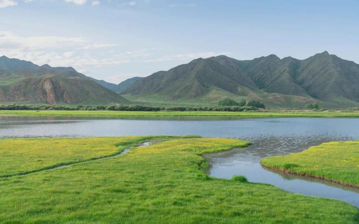 2014年英语专四TEM4·语言运用解析 - 知乎