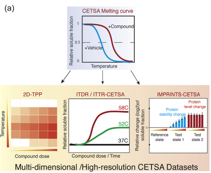技术| Cellular Thermal Shift Assay（CETSA） - 知乎