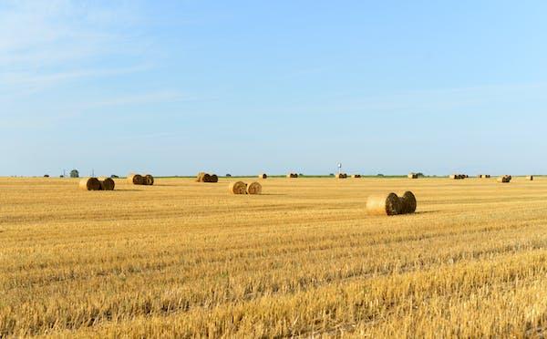 UTD、FT、ABS都是些什么鬼？快来看，一文让你秒懂商科英文国际期刊的江湖 - 知乎