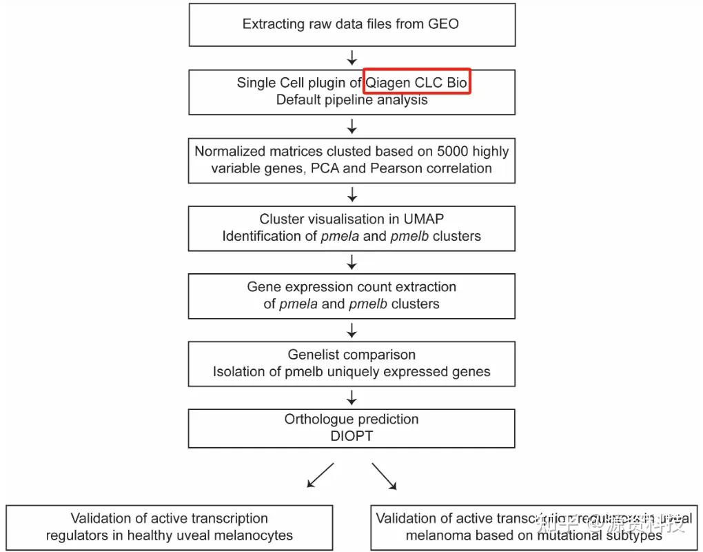 CLC单细胞模块再上新，来看看这些大佬都做了哪些分析 - 知乎
