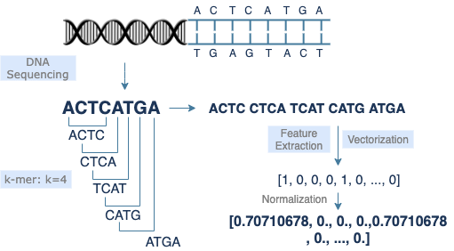 用 AI 识别基因，从向量化 DNA 序列开始 - 知乎