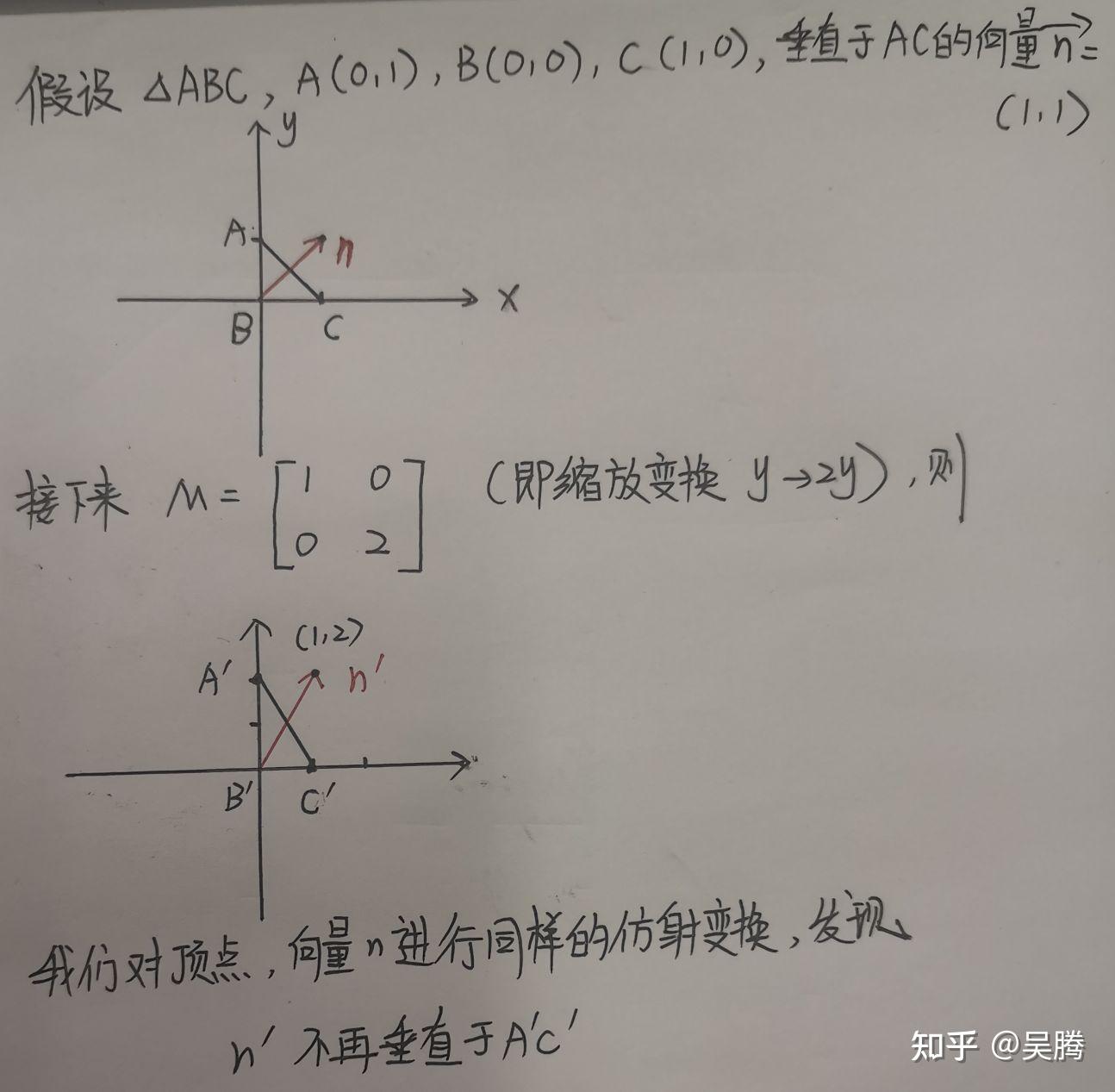 TinyRenderer从零实现（七）：lesson 5 相机变换 - 知乎