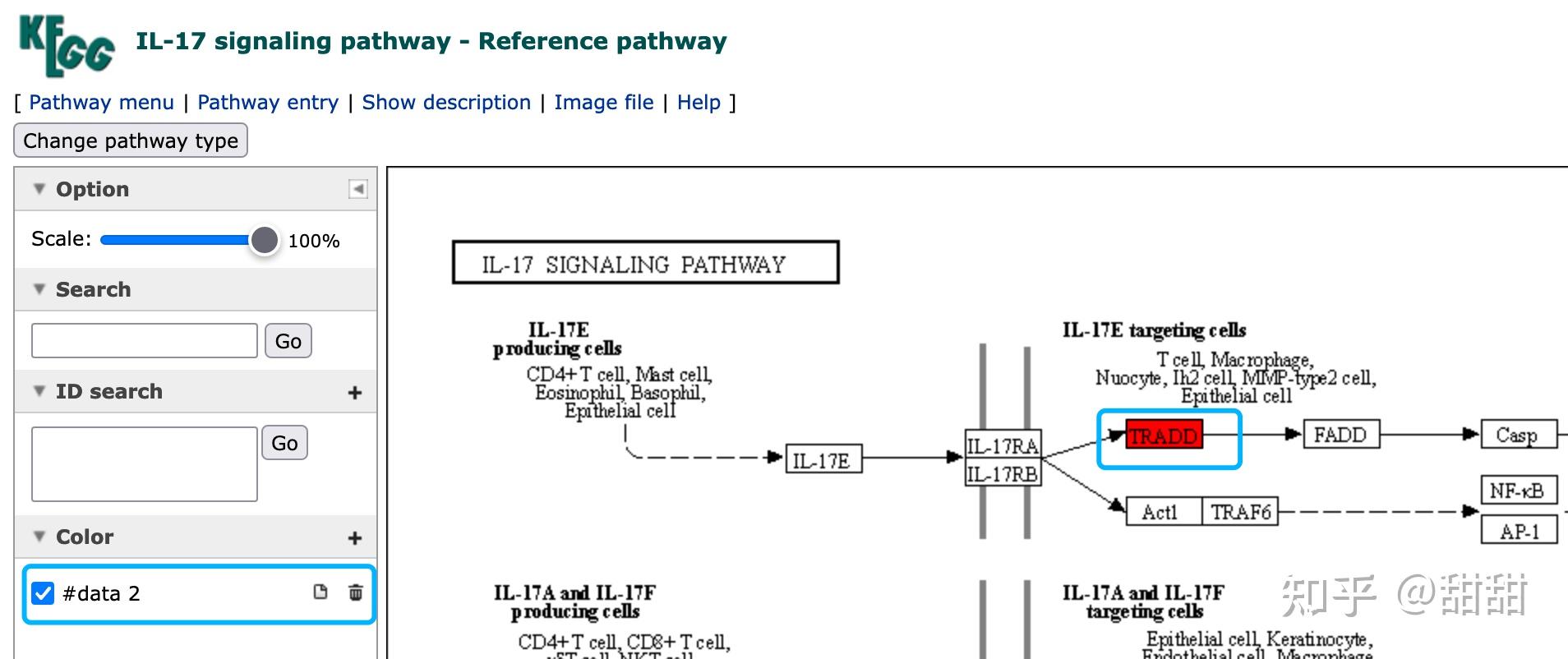 如何手动给kegg pathway标记颜色 - 知乎