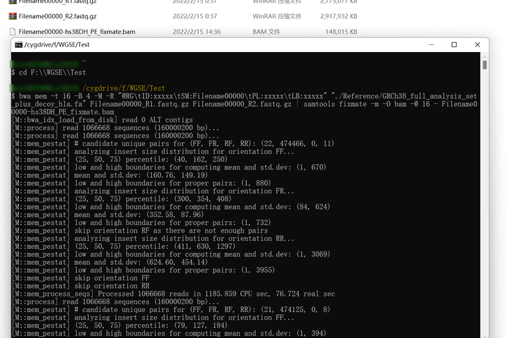 在Windows系统中使用BWA更换全基因组数据参考的大致方法 - 知乎