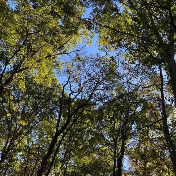 国外期刊投稿:COMPOST SCIENCE & UTILIZATION - 知乎