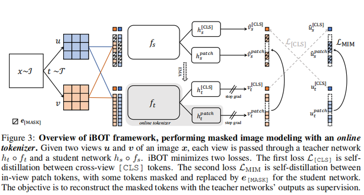 【论文精读】IBOT - 知乎