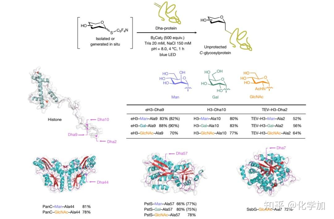 Nature：新加坡国立大学Ming Joo Koh课题组和牛津大学Benjamin G. Davis课题组实现天然糖的多样化转化 - 知乎