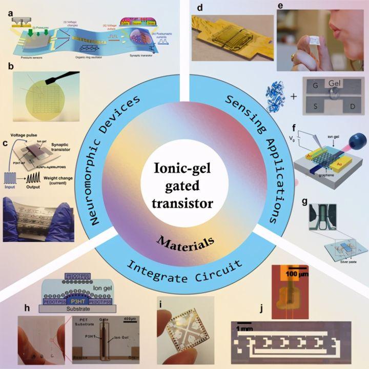 《npj Flexible Electronics》离子凝胶在离子门控晶体管中最新应用 - 知乎