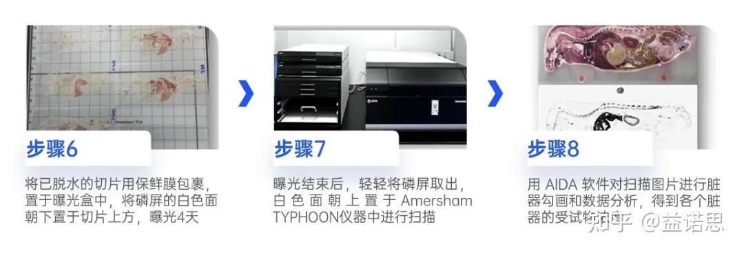 QWBA解决方案：助您快速得到可定量的精细的药物组织分布数据 - 知乎