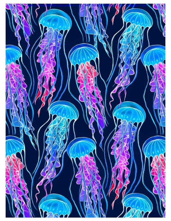 2024-cv-09889-艺术家 Jennifer Le Feuvre 版权维权 - 知乎