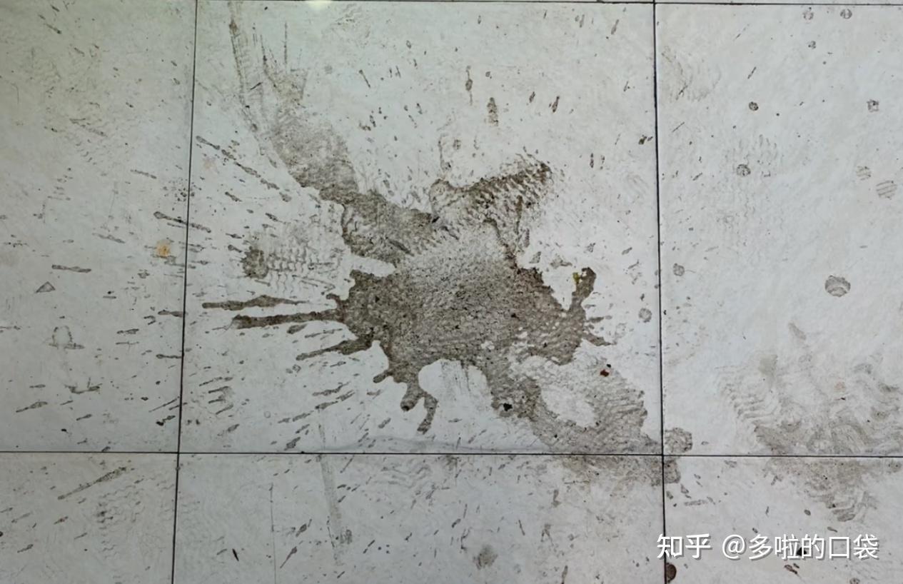 2025智能扫地机器人推荐！有没有真正解放双手不用人工介入的扫地机器人？新款型号追觅S50Pro值得买？100度高温清洁真的好用吗！ - 知乎