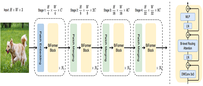CVPR 2023 即插即用系列! | BiFormer: 基于动态稀疏注意力构建高效金字塔网络架构 - 知乎