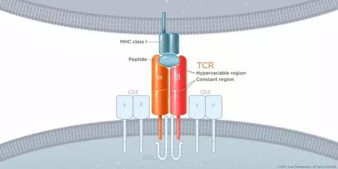封装可靠性试验TCT经验分享 - 知乎