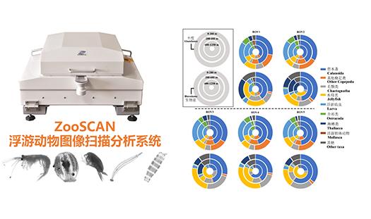 ZooSCAN技术揭秘南海冷泉区浮游动物群落结构组成！ - 知乎