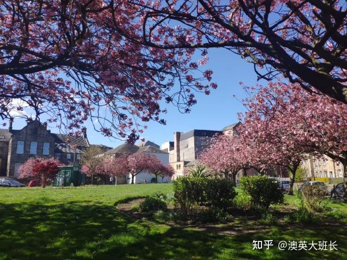 【同学私信】 大班长，我是澳门大学25fall，创意媒体专业，gpa3.5/4，英国留学有什么学校推荐吗？ - 知乎