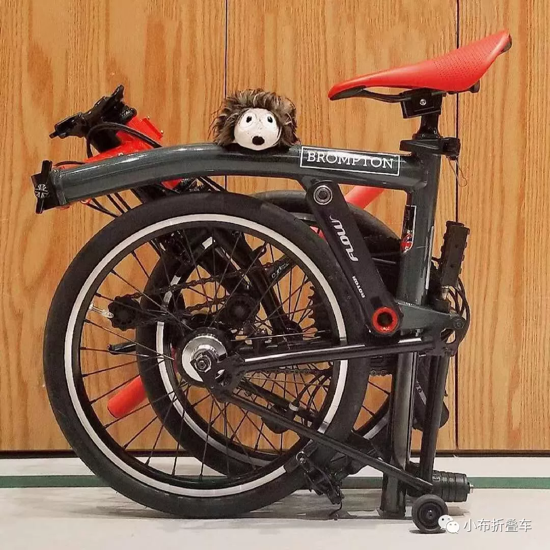 大佬们都骑什么样的BROMPTON（一） - 知乎