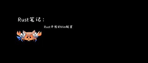 Rust开发的Vim配置 - 知乎
