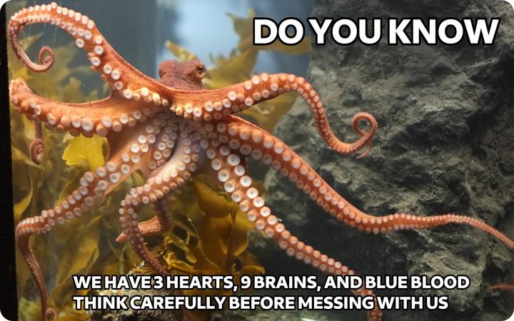 Ceph RocksDB 深度调优 - 知乎