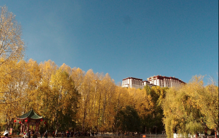 深秋里的新旧交替，市场迎来新的悲喜 - 知乎