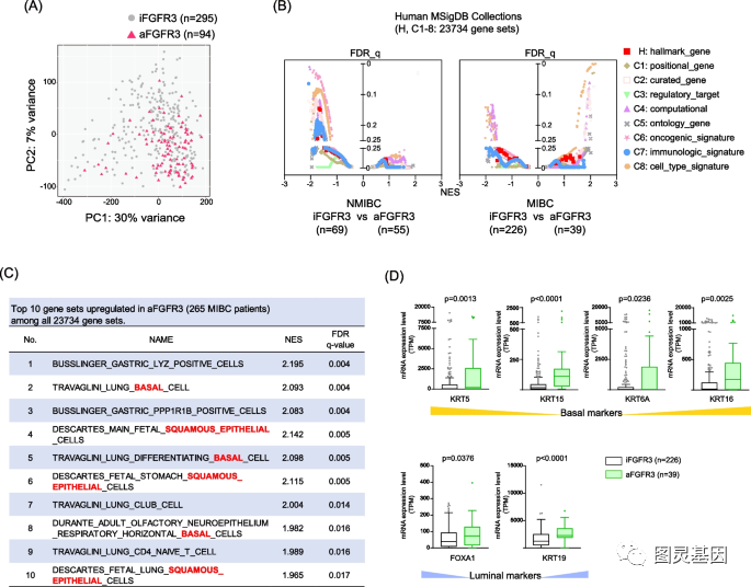 Mol Cancer | 膀胱癌中FGFR3变异对肿瘤微环境和免疫检查点抑制剂疗效的影响 - 知乎