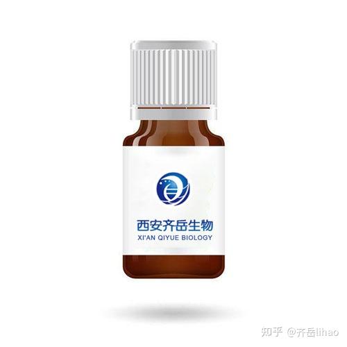 BV2小鼠小胶质细胞 BV2 mouse microglia - 知乎 BV2小鼠小胶质细胞 BV2 mouse microglia - 知乎