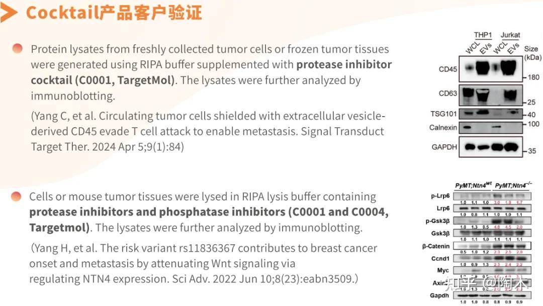 TargetMol 磷酸酶抑制剂Cocktail - 知乎