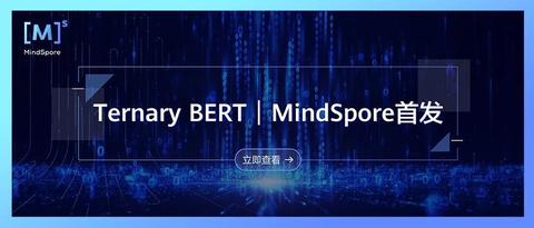 让BERT瘦下来 | MindSpore量化训练极低比特语言模型：TernaryBERT - 知乎