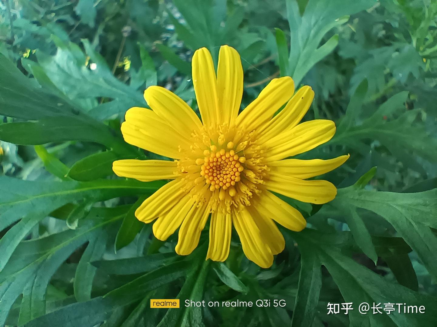 入门5G神机——realme Q3i对比realme Q3真机完整测评