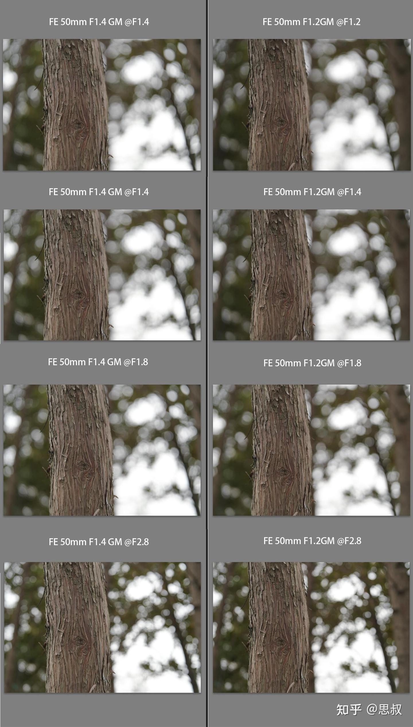 FE 50mm F1.4 GM 主观上手评测 | 实拍对比FE 50mm F1.2 GM - 知乎