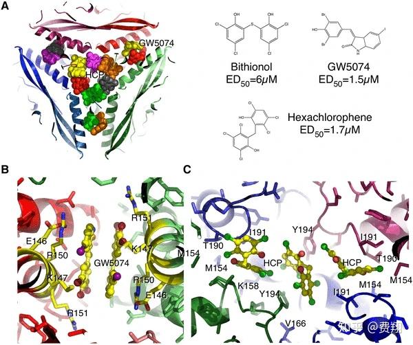 谷氨酸脱氢酶，在关键代谢分支点的复杂酶 - 知乎