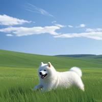 SIFT+BOW+KMeans+SVM实现图像分类 - 知乎