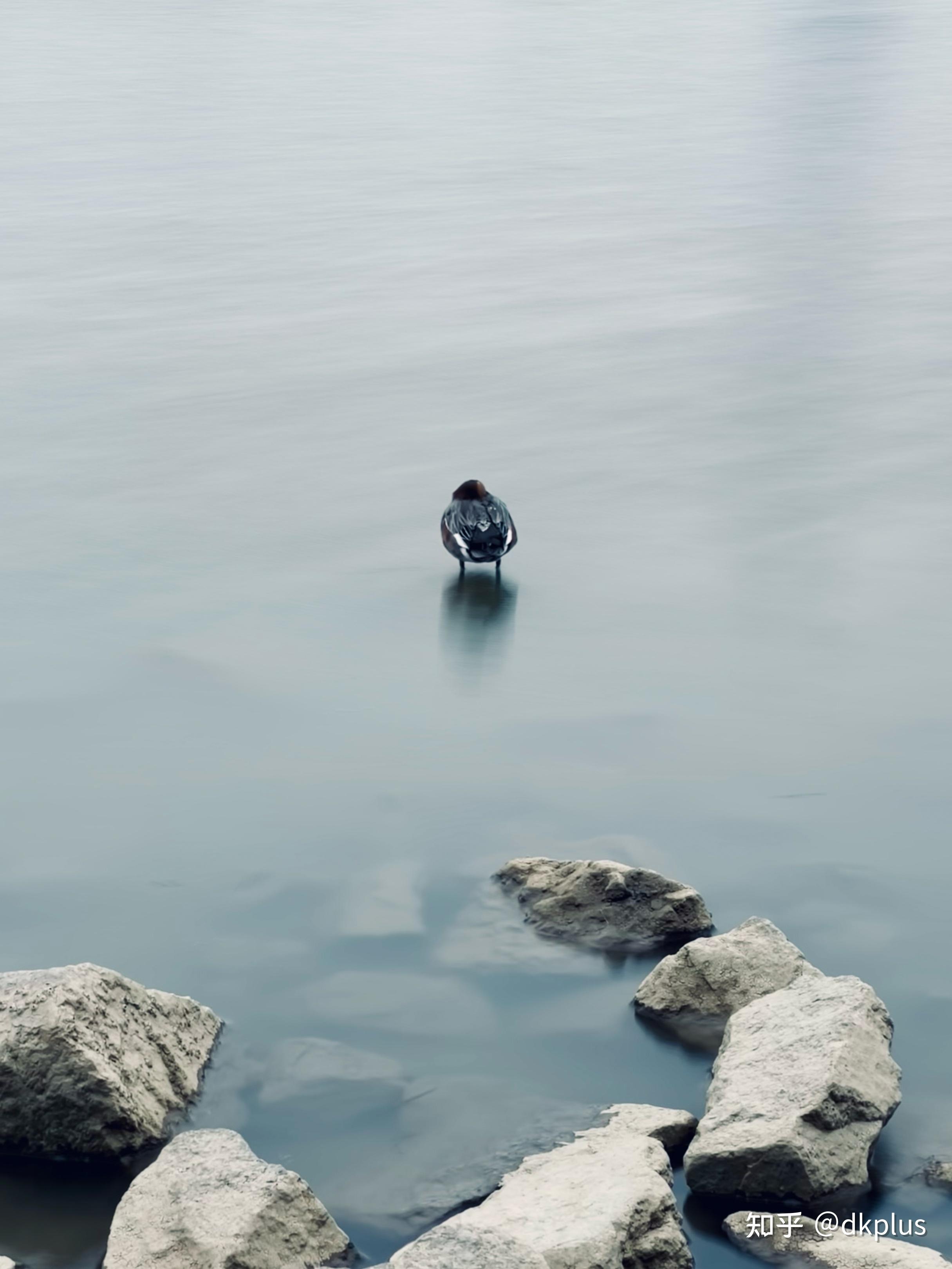 松下S5和奥林巴斯em13还有em53怎么选? - 知乎