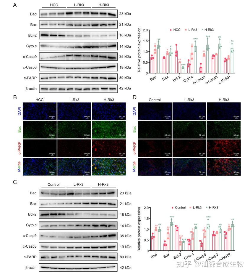 人参皂苷Rk3-新PI3K/AKT靶向治疗剂，可调节肝细胞癌的自噬和细胞凋亡 - 知乎