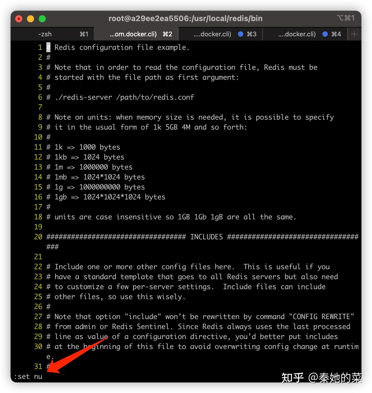 【redis】高可用之一:复制(replica) 知乎