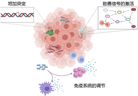 5R 16S测序检测 实现对肿瘤微生物等低生物量样本的深入研究 - 知乎