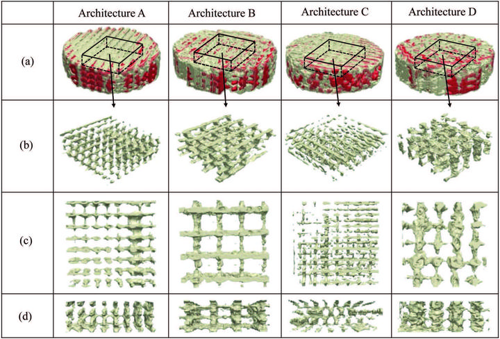 【Simpleware】通过3D打印支架的结构设计调控新生骨的体积和功能性 - 知乎