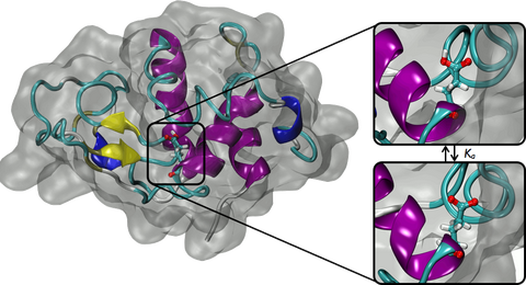 基于Amber动力学模拟的构建与分析 - 知乎