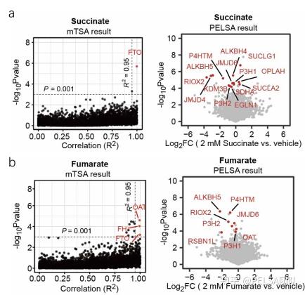 高灵敏度PELSA技术鉴定靶标蛋白质案例：代谢物作用靶蛋白及其结合位点的鉴定 - 知乎