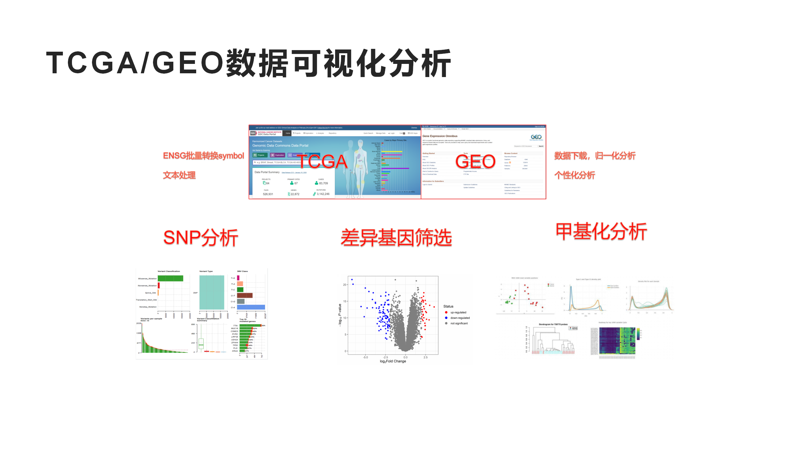 TCGA|GEO可视化分析第1篇---相关性分析 - 知乎