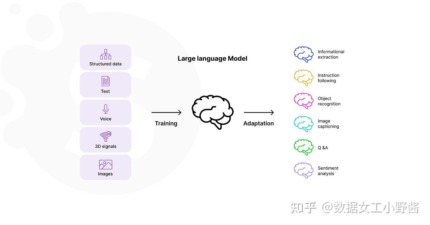 LLM vs. NLP：六大关键区别及其协同使用 - 知乎