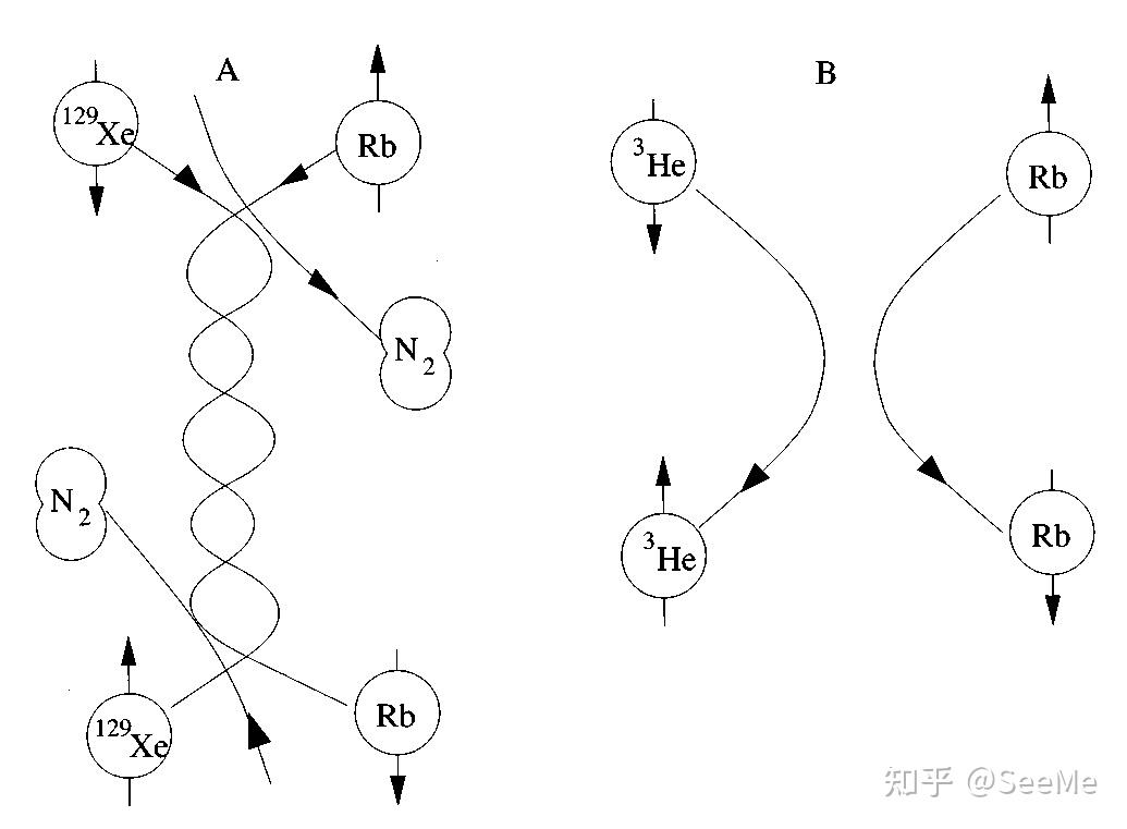 基础篇 | Spin-exchange Optical Pumping Chap3. 自旋极化交换 - 知乎