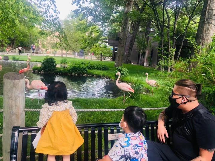 加拿大萨省雇主担保移民,符合要求就能稳拿身份! 知乎