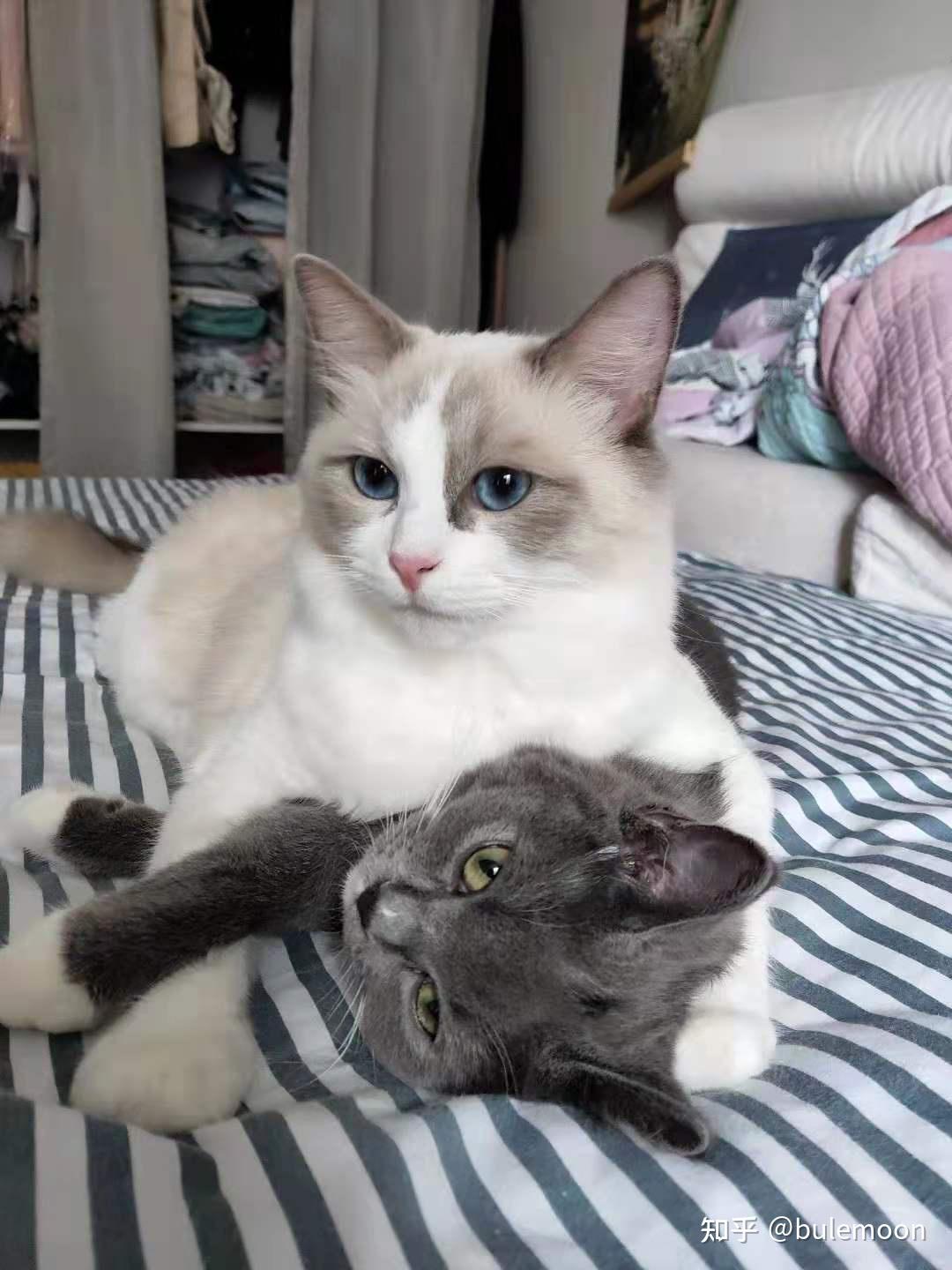 微信支付遇到调用支付JSAPI缺少参数:total_fee(高效精准解决方法) - 知乎