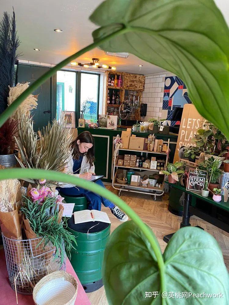 英国插画师——Hollie Fuller - 知乎