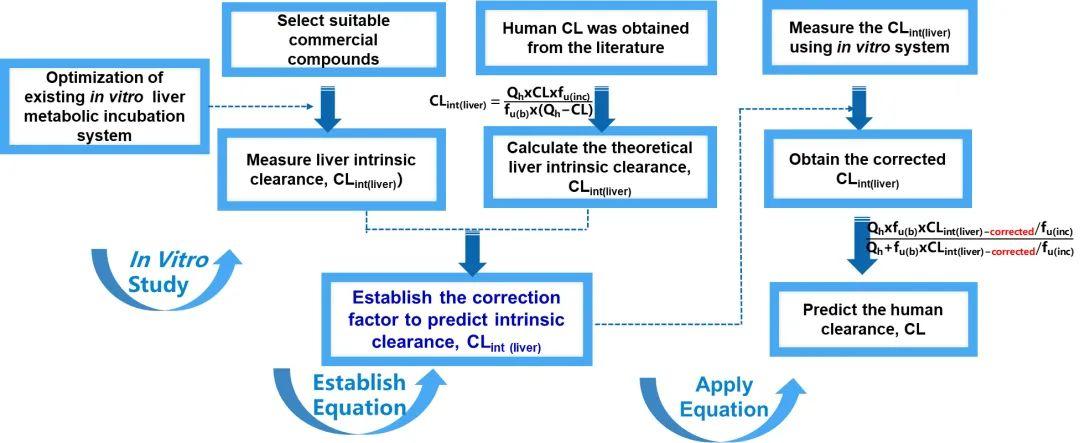 IVIVE代谢预测模型助力药物研发：如何利用体外药物代谢数据推导其体内的代谢清除特征 - 知乎