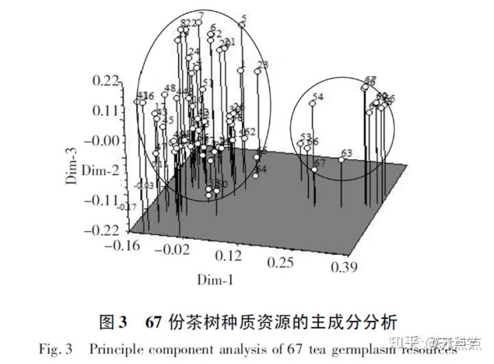 ISSR分子标记原理与应用 - 知乎