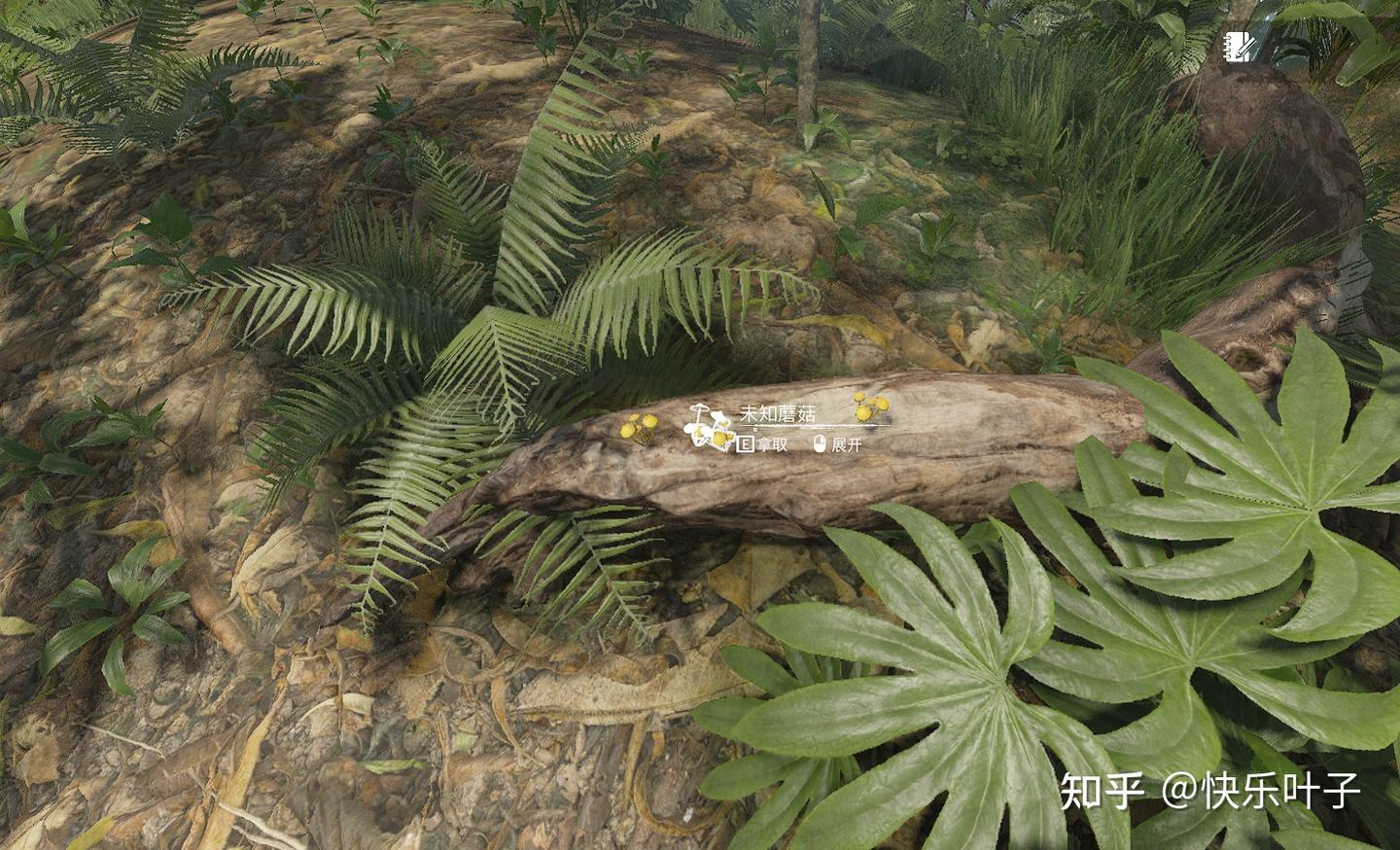 Green Hell《绿色地狱》主要植物及食用效果（新手向） - 知乎