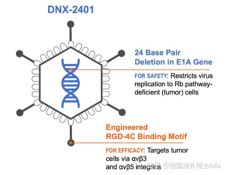 溶瘤病毒治疗脑干胶质瘤DIPG临床试验一期结果公布(2022年NEJM发表) - 知乎