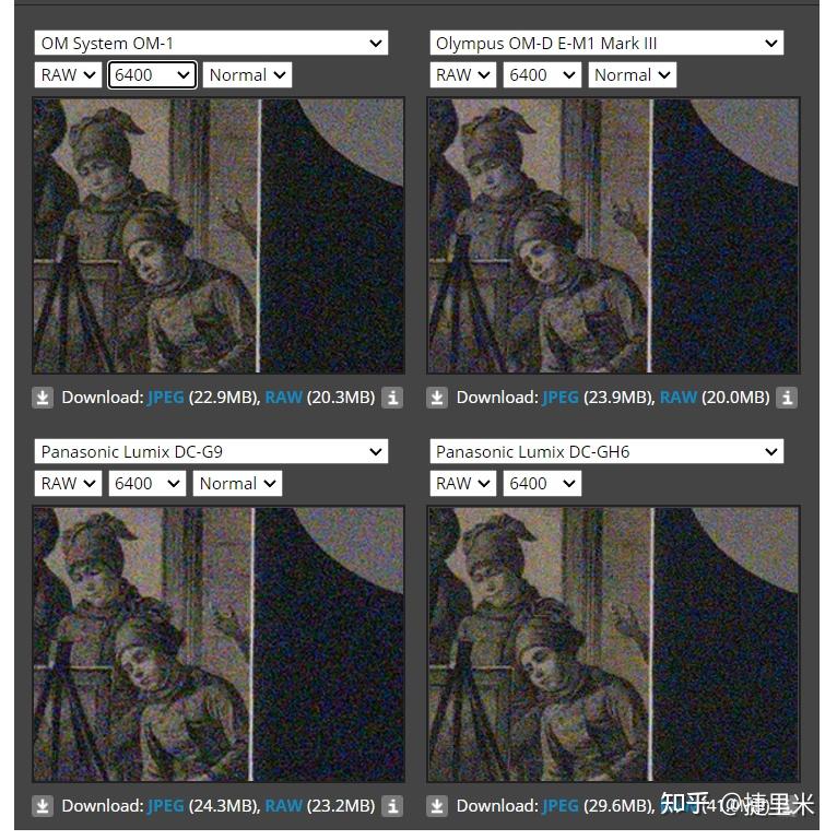 M43双雄并立，OM-1与GH6该如何选择？