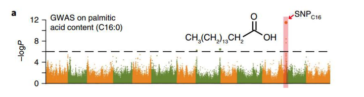 重测序分析（14）全基因组关联分析GWAS介绍 - 知乎